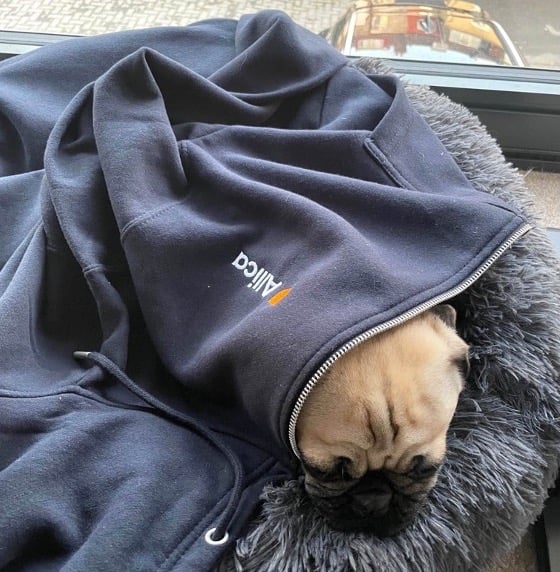 Meet Nida Sattar, Head of Product - Payments at Allica Bank